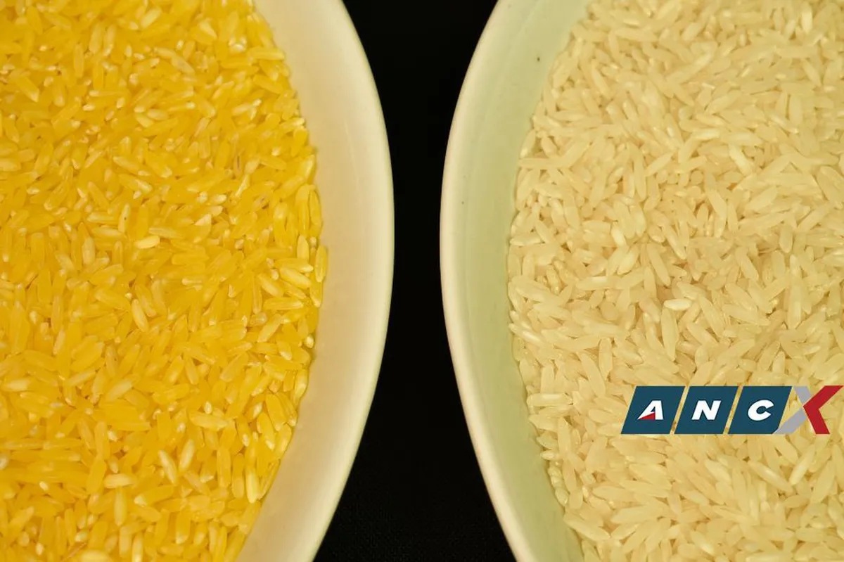 What is Malusog Rice and why Pinoys should care about introducing it to ...