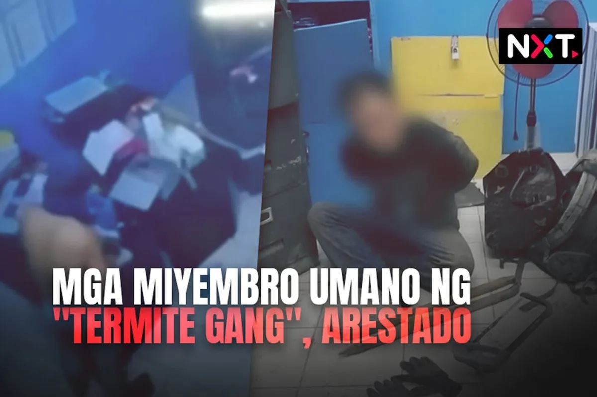 Mga miyembro umano ng 'termite gang', arestado | ABS-CBN News