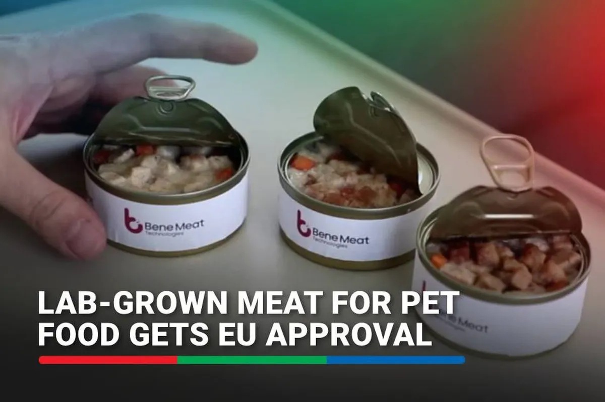 Lab-grown meat for pet food gets EU approval | ABS-CBN