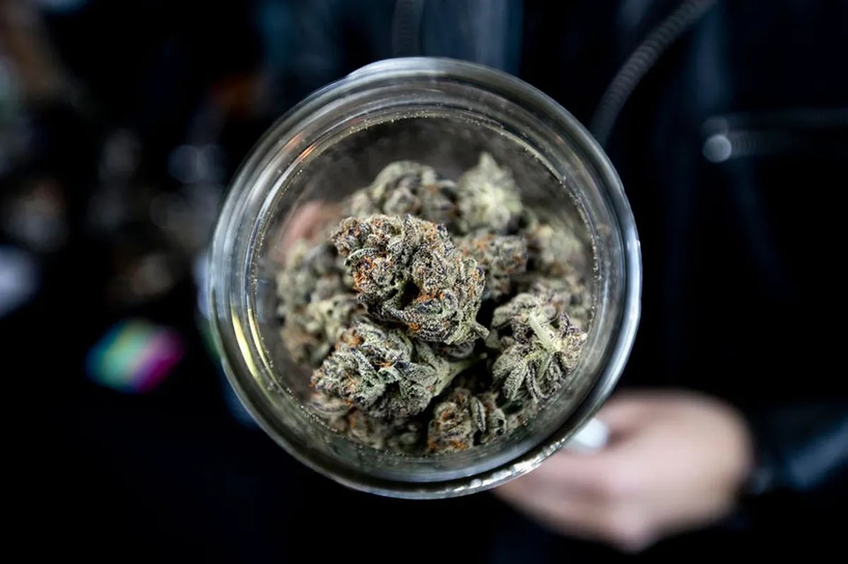 82-year-old German gets 'last warning' for marijuana dealing | ABS-CBN News