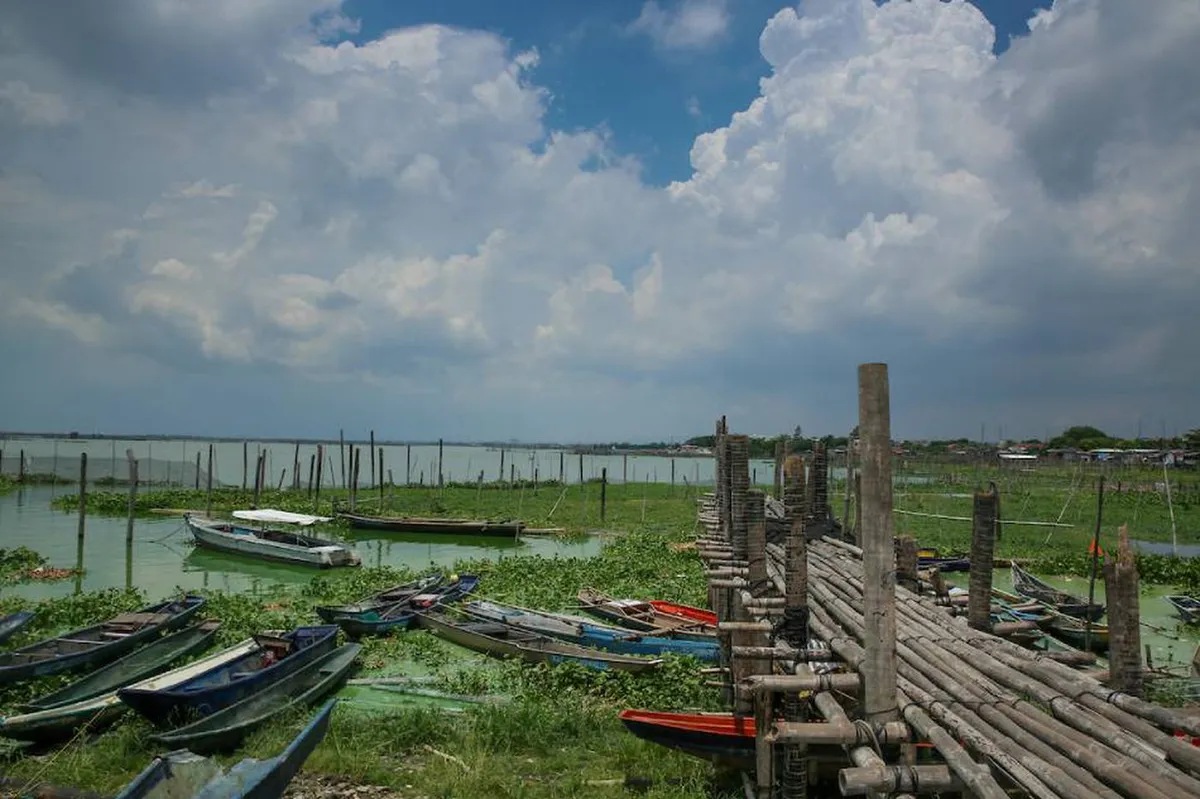 Laguna Lake algae overgrowth possible during El Niño, warns DENR agency ...
