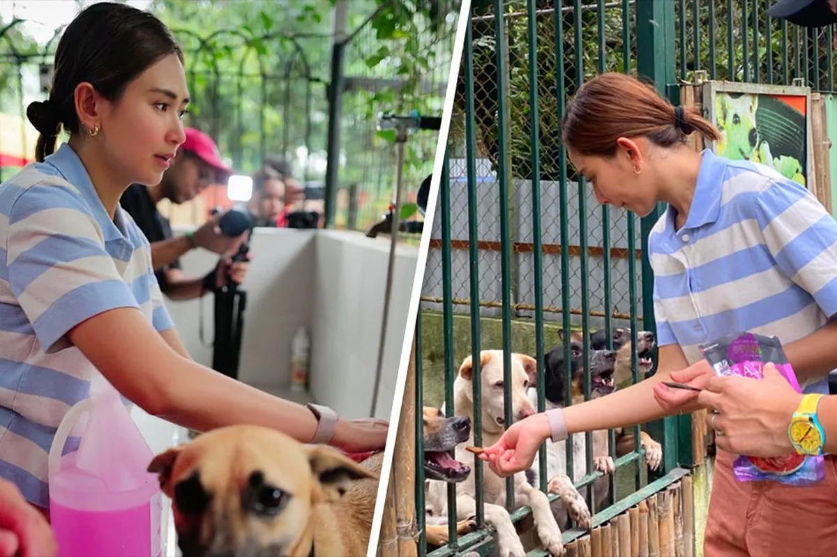 LOOK: Sarah Geronimo joins animal welfare event | ABS-CBN Entertainment