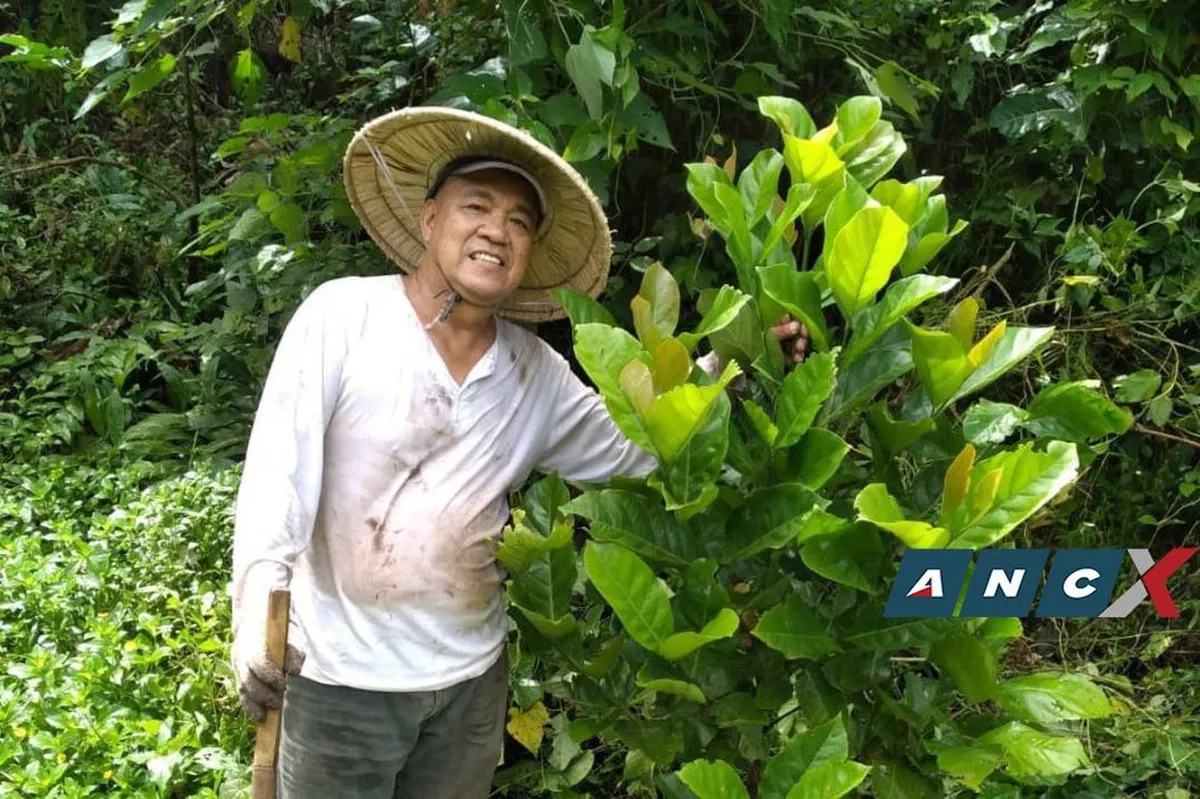 This farmer is leading movement to bring San Pablo’s once robust coffee ...