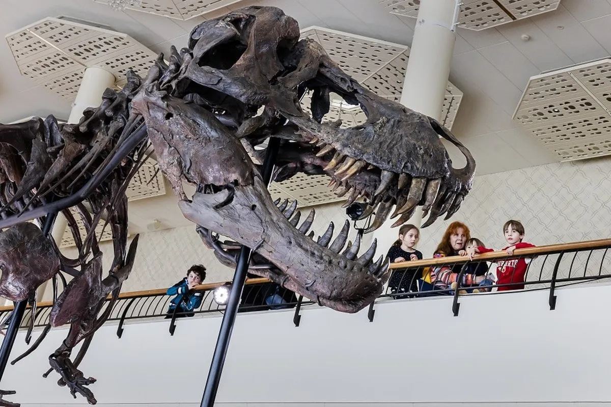 Those protruding T-Rex teeth? They were covered by lips: study | ABS-CBN