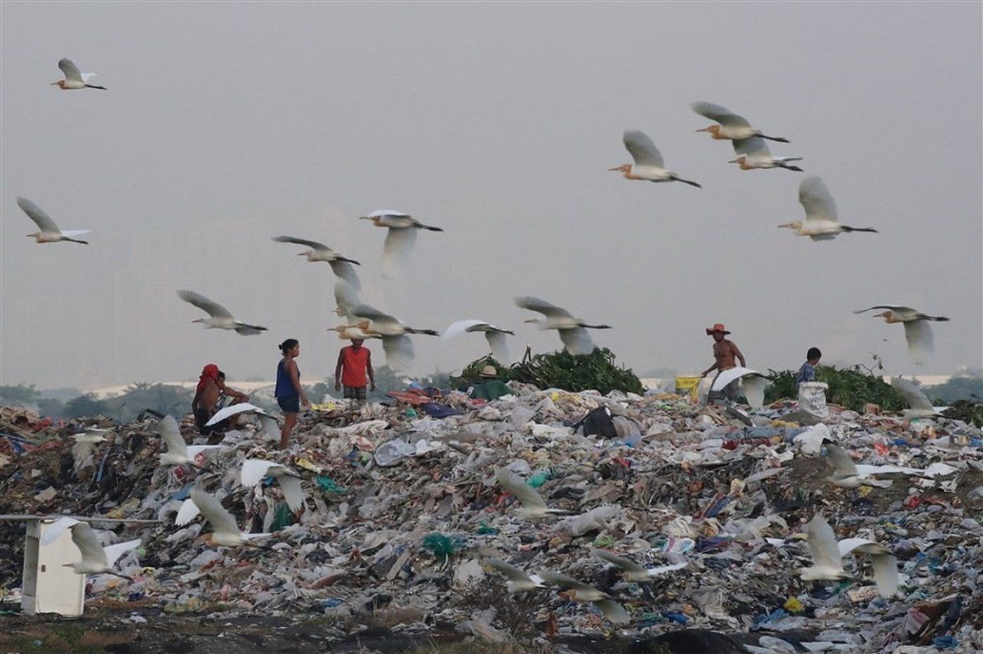'Mindset change,' discipline needed for Filipinos to manage solid waste ...