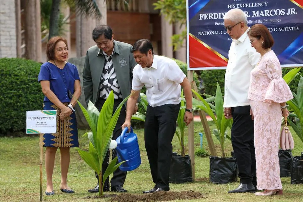 Philippines slips to 3rd place in coconut production, eyes planting 100 million trees | ABS-CBN News