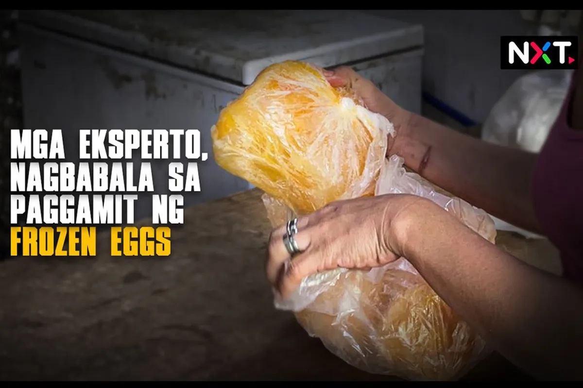 Mga eksperto, nagbabala sa paggamit ng frozen eggs | ABS-CBN News Mga eksperto, nagbabala sa paggamit ng frozen eggs | ABS-CBN News