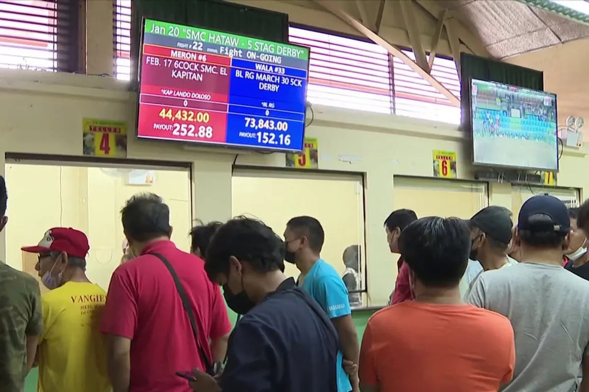 Sabungan sa QC na nago-operate umano ng e-sabong, sinalakay | ABS-CBN News