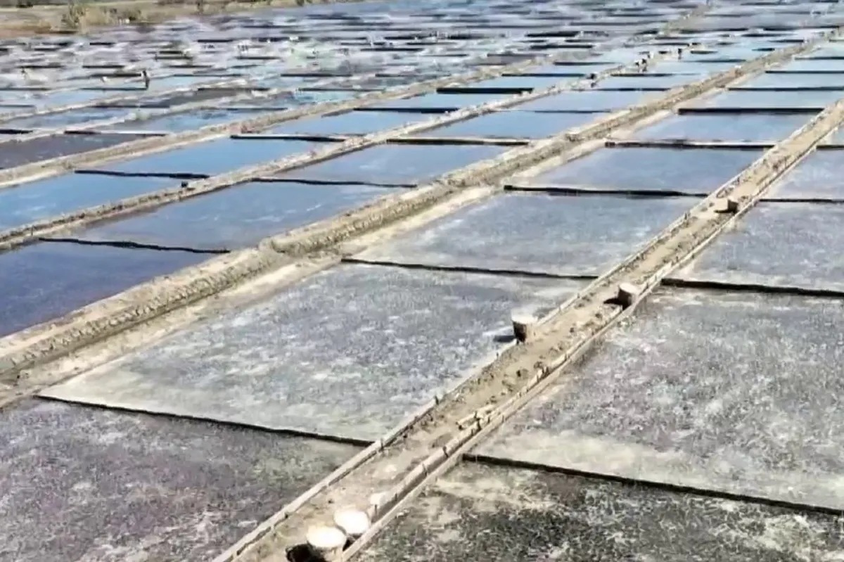 Mas madaling proseso ng pagtatayo ng salt farms hiniling | ABS-CBN News Mas madaling proseso ng pagtatayo ng salt farms hiniling | ABS-CBN News