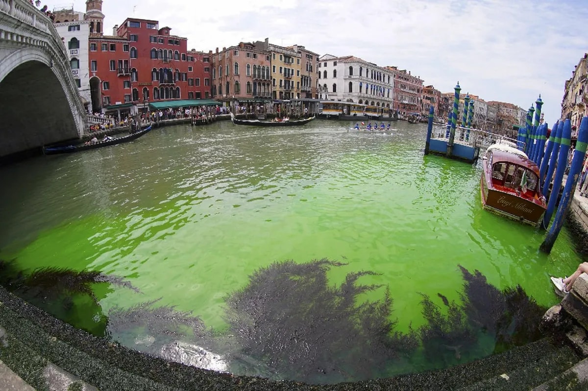 Italy: Water in Venice's Grand Canal goes bright green | ABS-CBN
