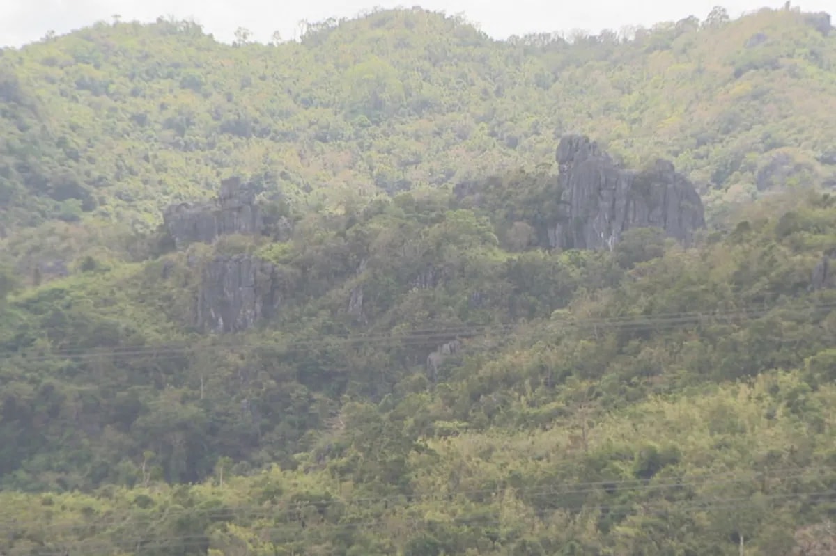 Masungi Georeserve Foundation kontra sa pagpapatayo ng BuCor facility ... Masungi Georeserve Foundation kontra sa pagpapatayo ng BuCor facility ...