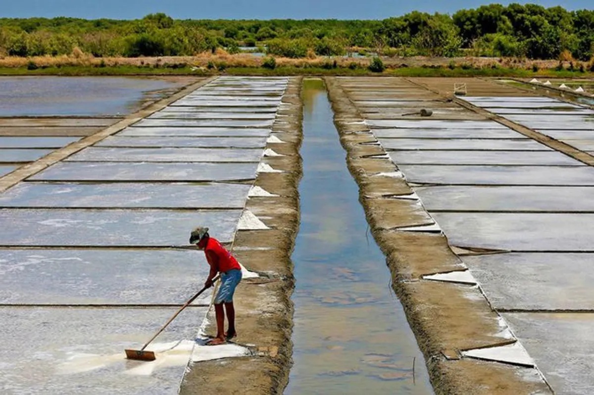 'Insanity': Senators slam salt iodization law for 'killing' PH's salt ...