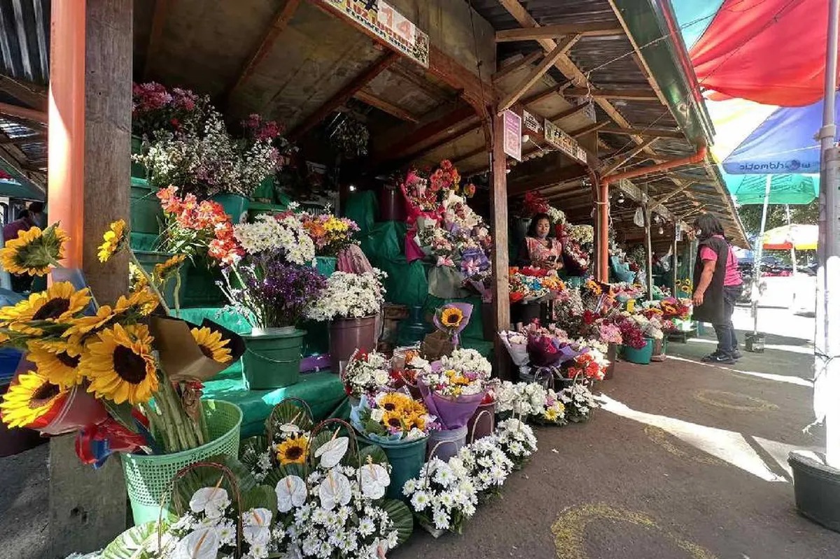 Presyo ng mga bulaklak sa Baguio City, tumaas | ABS-CBN News