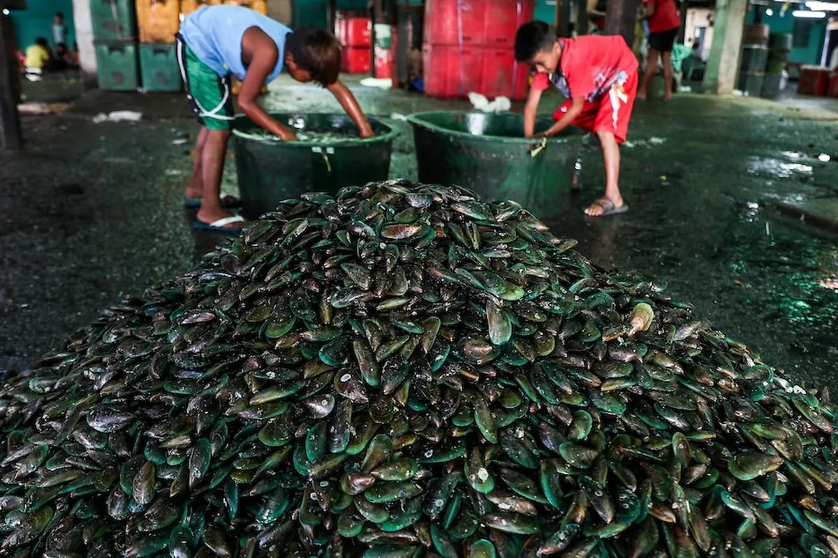 BFAR issues shellfish ban in 8 areas due to 'red tide' | ABS-CBN News
