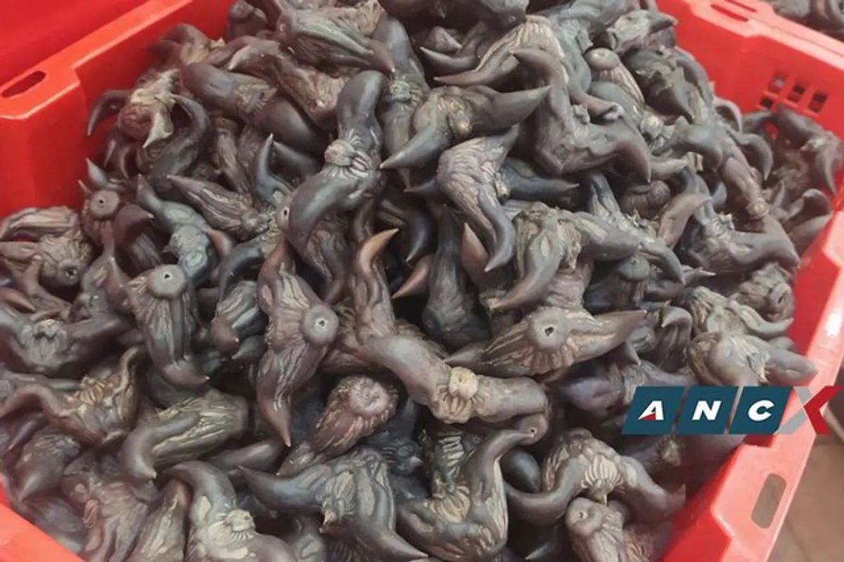 Singapore food find: These strange-looking nuts are considered lucky ...