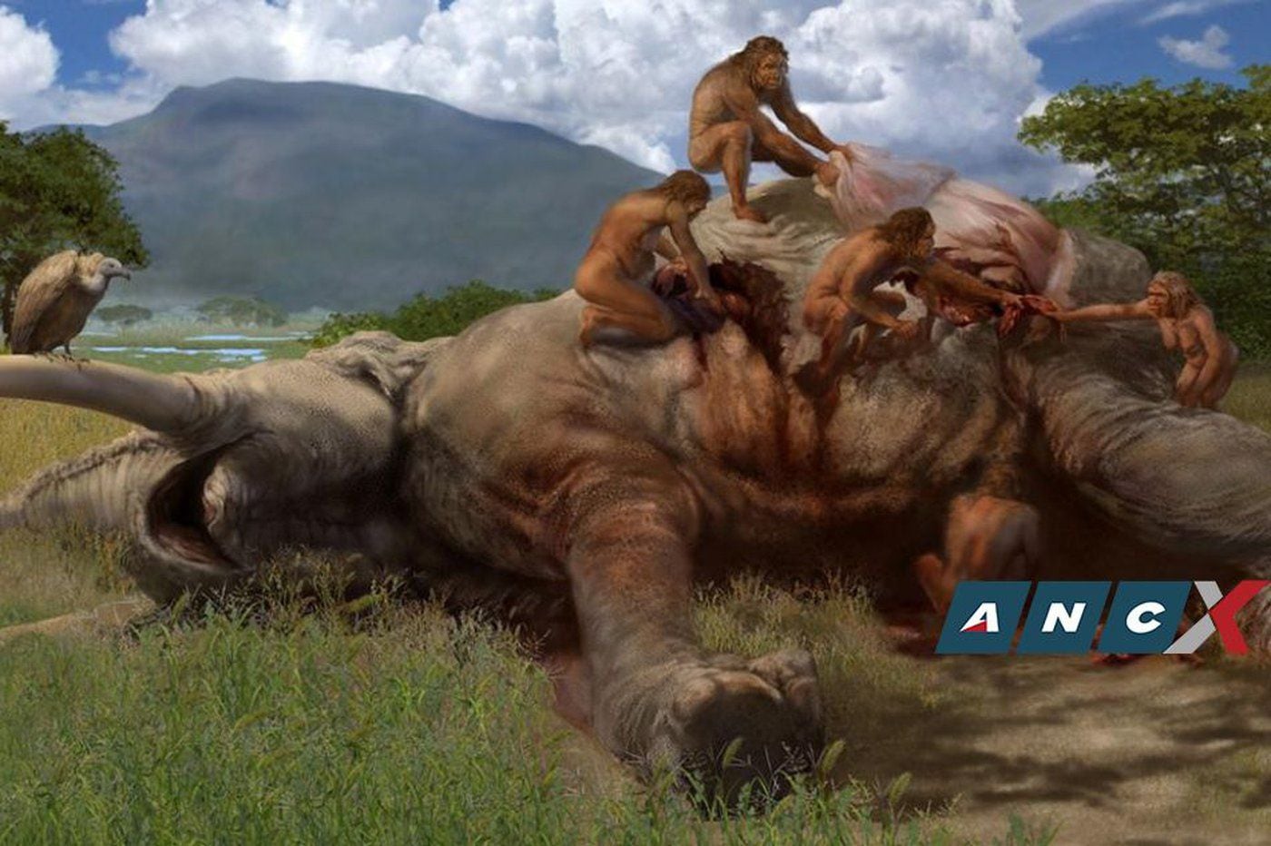 Why do humans eat so much meat? | ABS-CBN Lifestyle