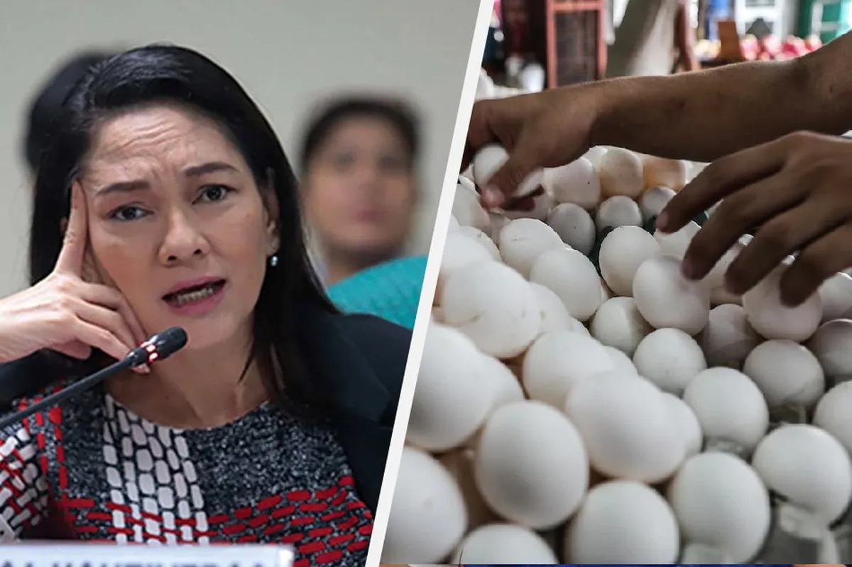 Hontiveros urges appointment of DA secretary, warns vs looming egg ...