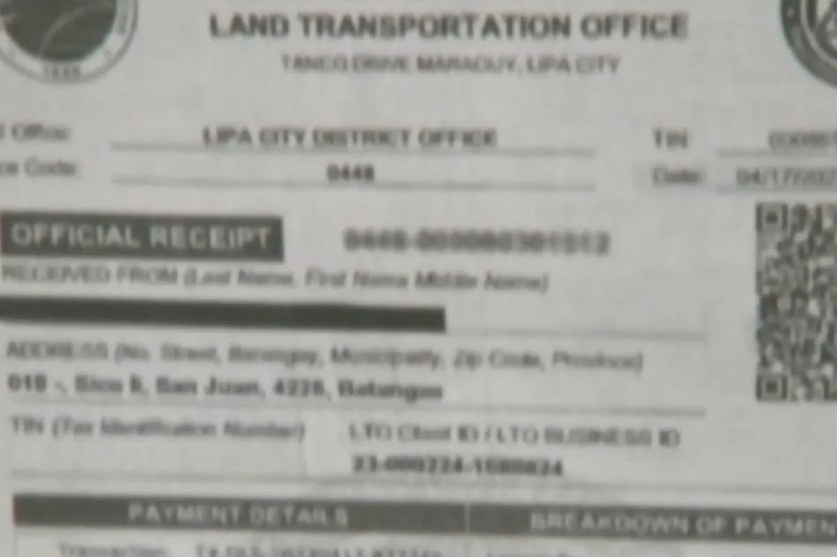 LTO paper licenses depress drivers | ABS-CBN News