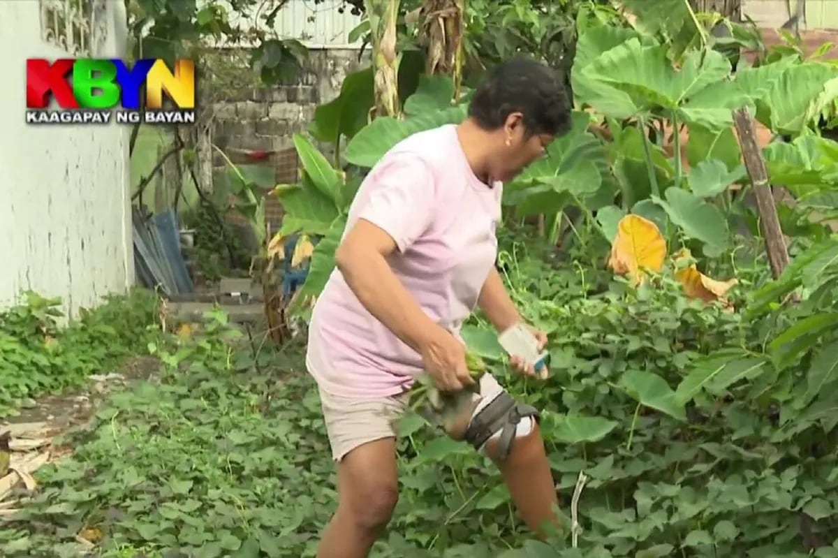 KBYN: Ina na naputulan ng paa, patuloy ang pagpupursigi para sa mga ... KBYN: Ina na naputulan ng paa, patuloy ang pagpupursigi para sa mga ...