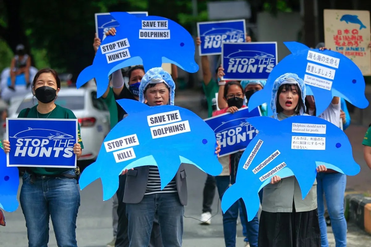 Protest vs dolphin hunting in Japan | ABS-CBN News