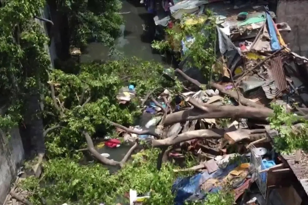 Mga residenteng malapit sa bumagsak na puno sa Recto, na-trauma | ABS-CBN News
