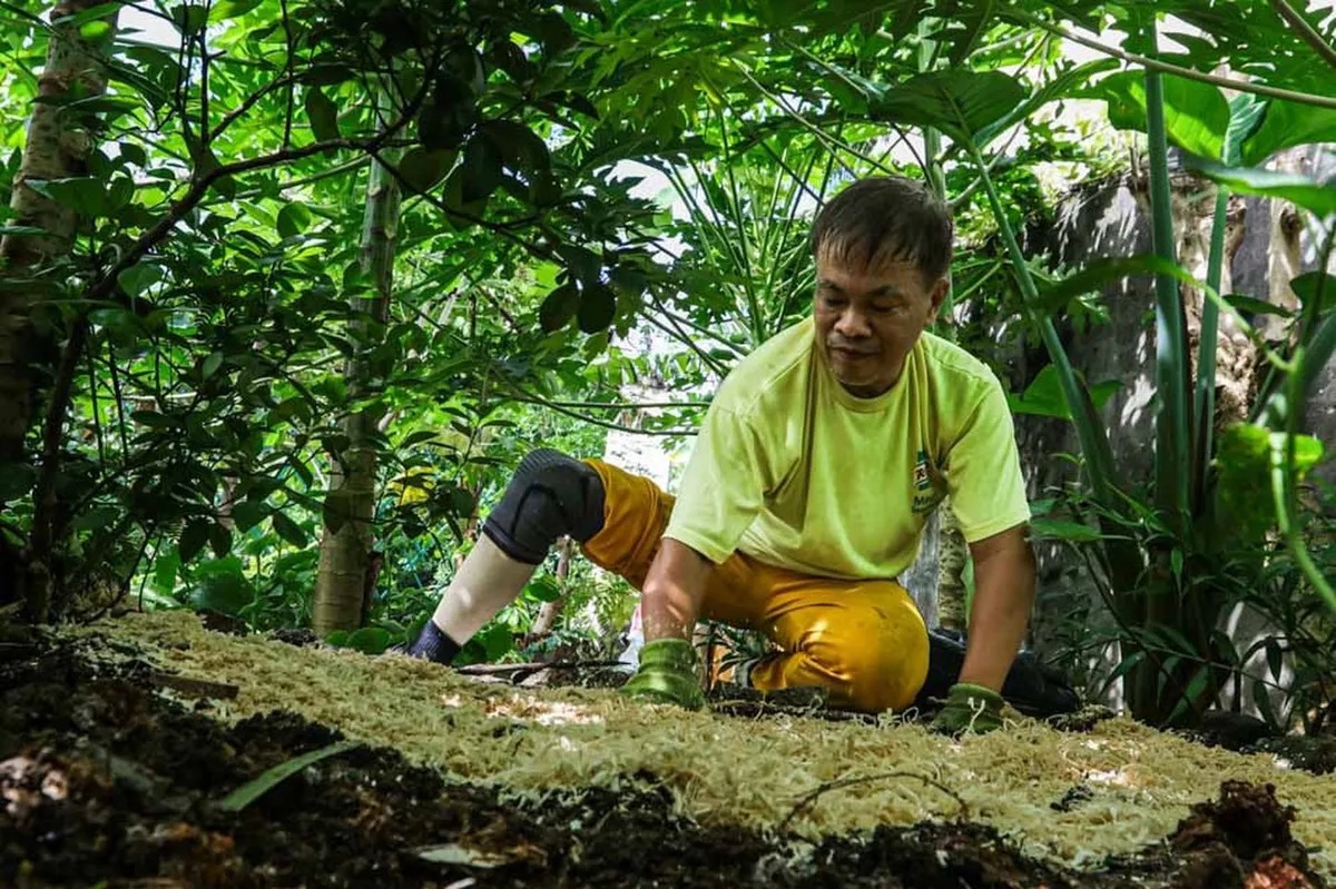 Barangay Kamuning urban farm helps community amid rising prices | ABS ...