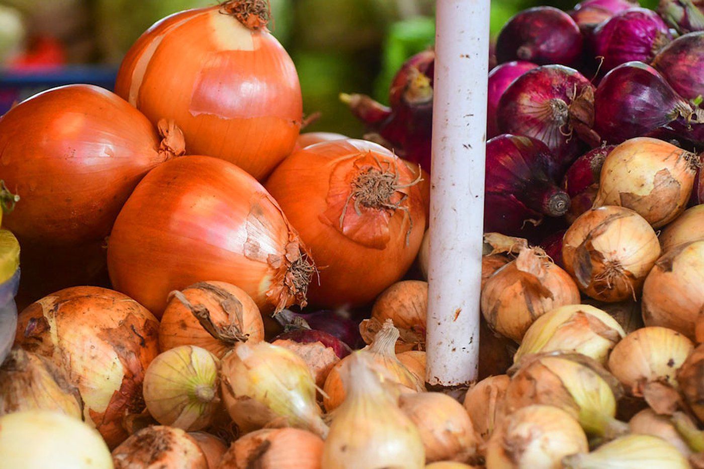 DA defers extension of P250/kilo SRP of onions as harvest season begins ...