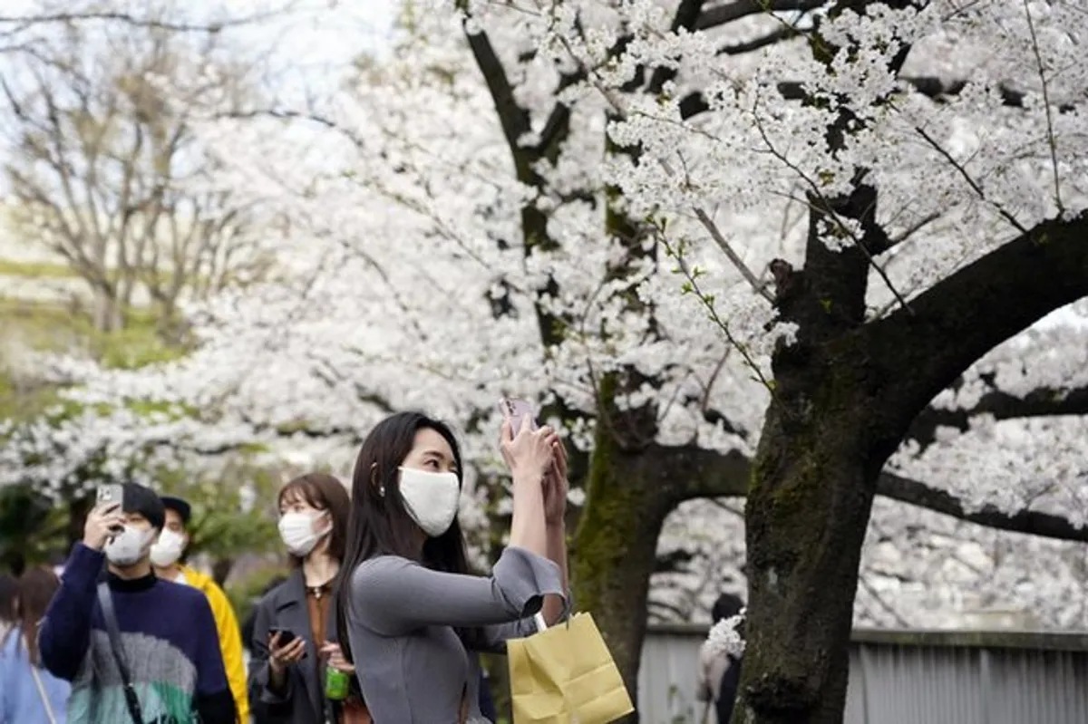 Japan visa application now available for individual tourists | ABS-CBN News