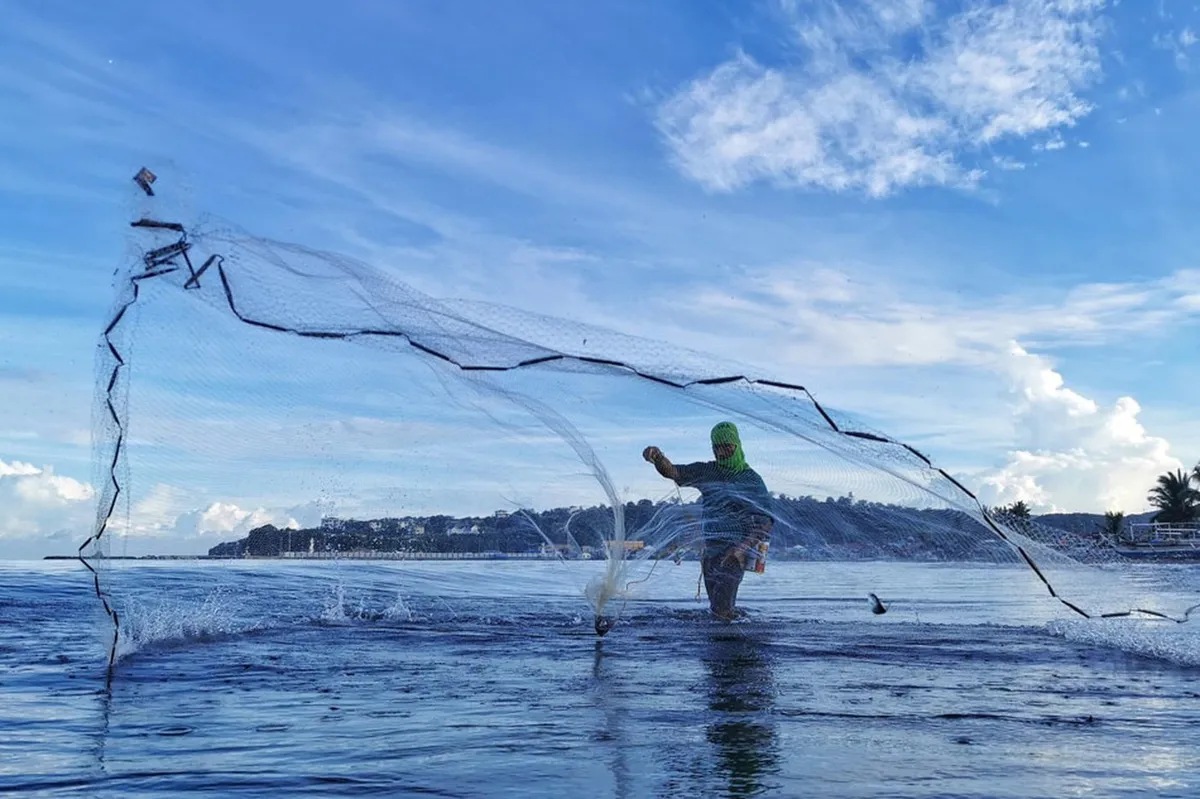 Grupo tutol sa pag-angkat ng mga isda ngayong closed season | ABS-CBN News Grupo tutol sa pag-angkat ng mga isda ngayong closed season | ABS-CBN News