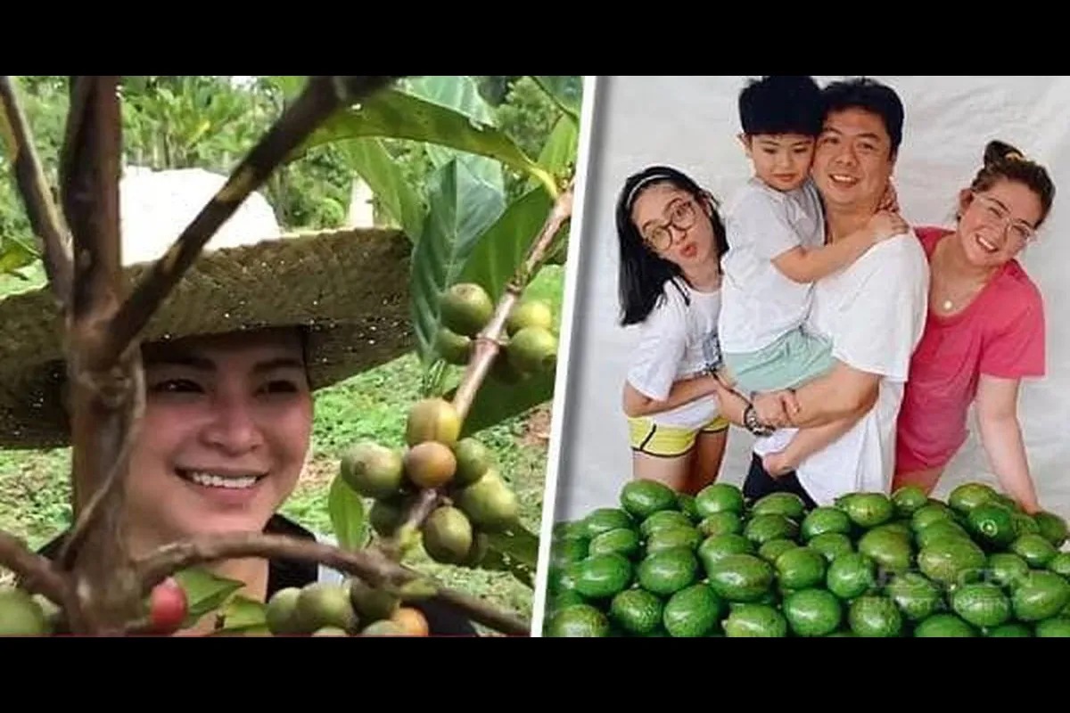 7 celebrities who are proud farm owners! | ABS-CBN Entertainment