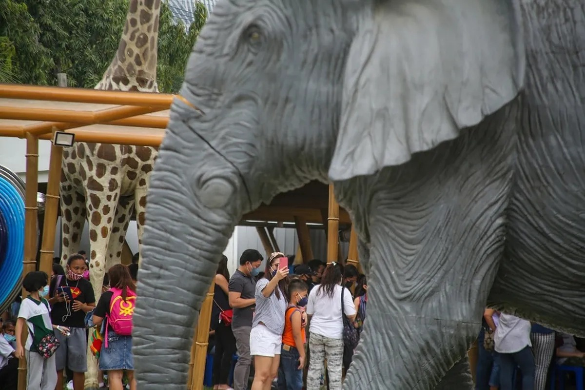 Final preparations underway for the reopening of Manila Zoo | ABS-CBN News