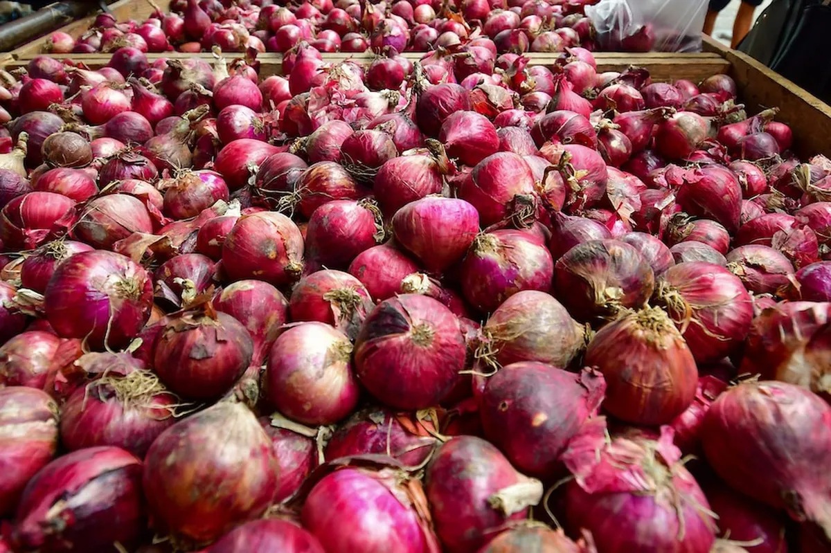 PCC eyes finishing probe on 'onion cartel' in 2-3 months | ABS-CBN News