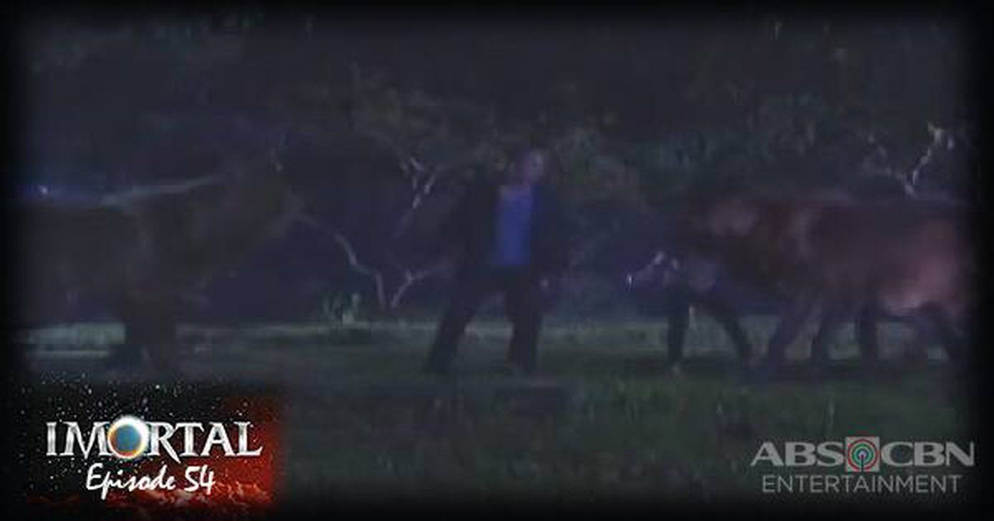 Imortal: Ang simula ng labanan sa pagitan ng mga lobo at bampira ...