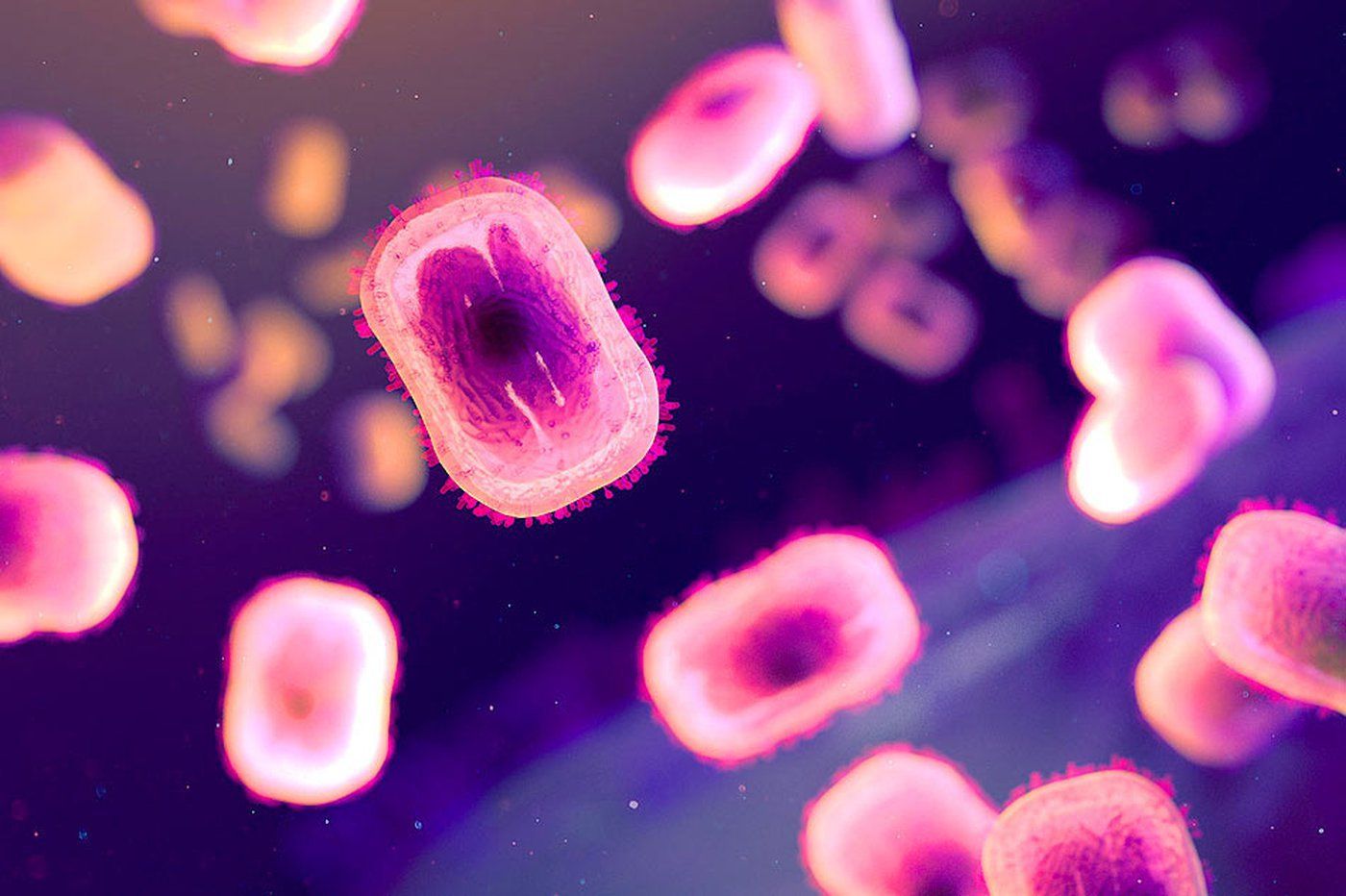 DOH: No 'suspected case' of monkeypox reported since August | ABS-CBN News