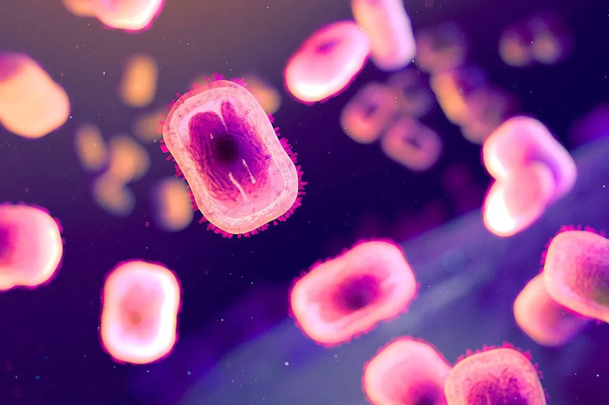 DOH: No 'suspected case' of monkeypox reported since August | ABS-CBN News