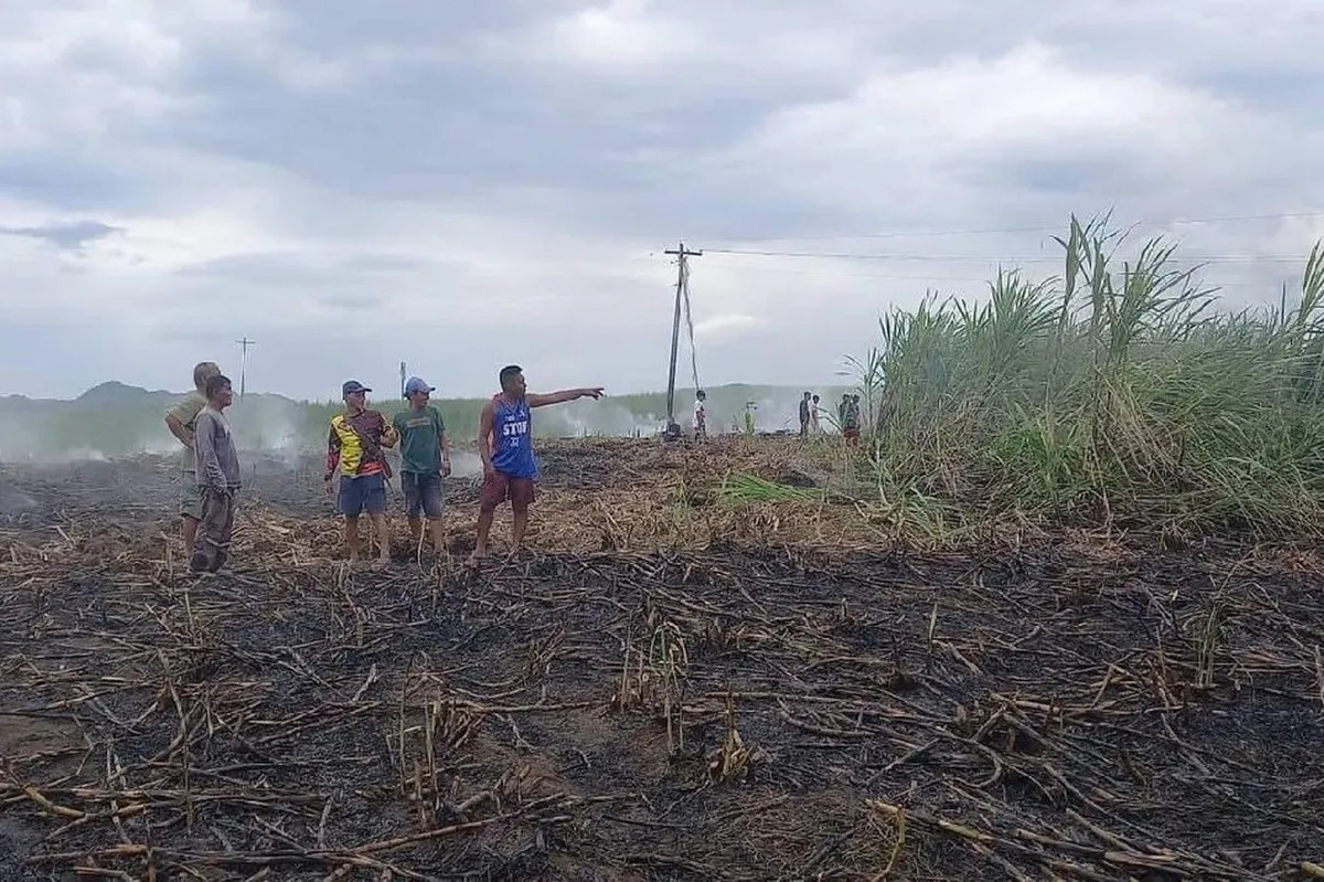 Bahagi ng plantasyon ng tubo nasunog sa Negros Occidental | ABS-CBN News