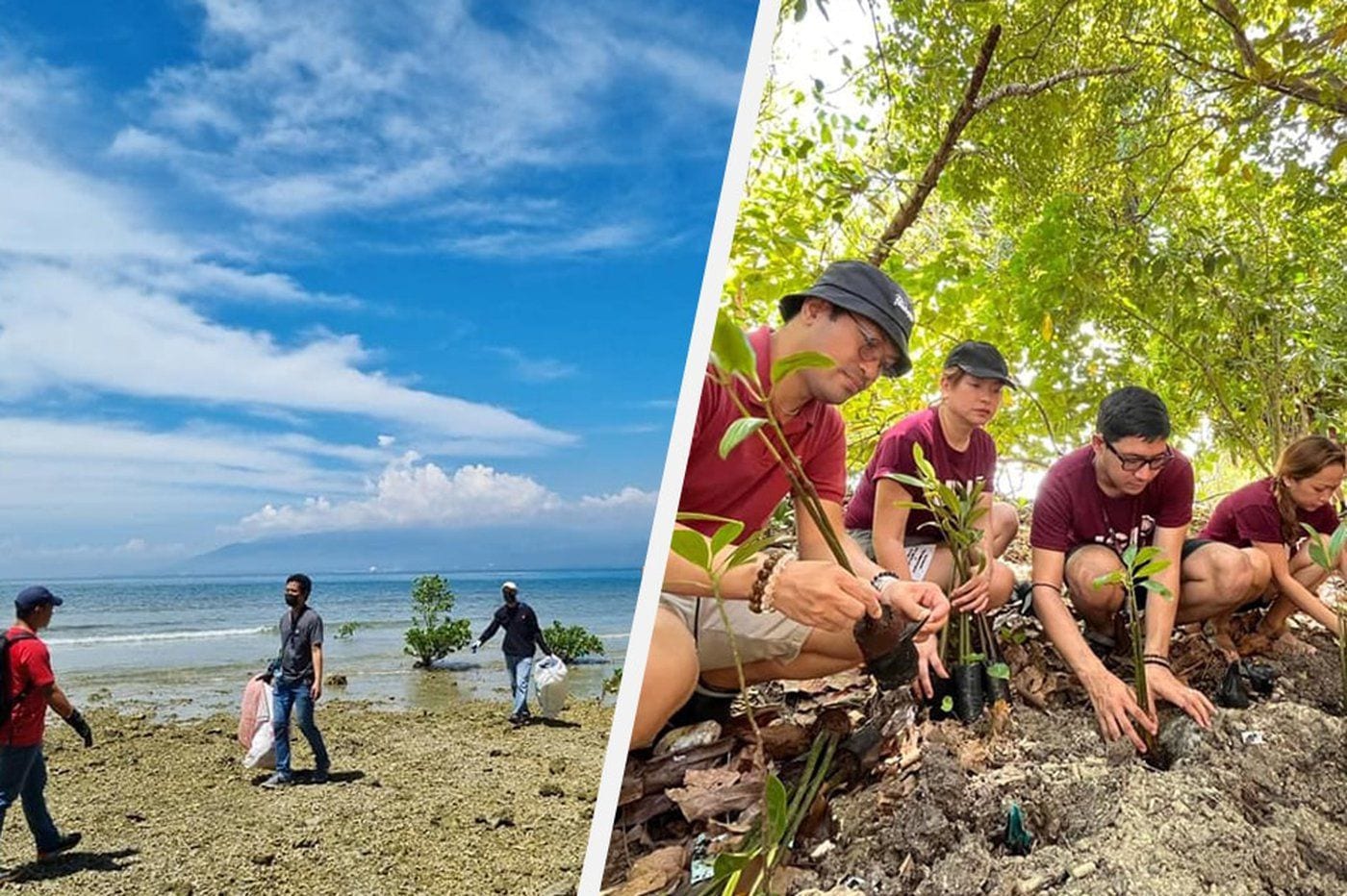 Coastal cleanup, mangrove planting isinagawa sa pawikan nesting site sa ...