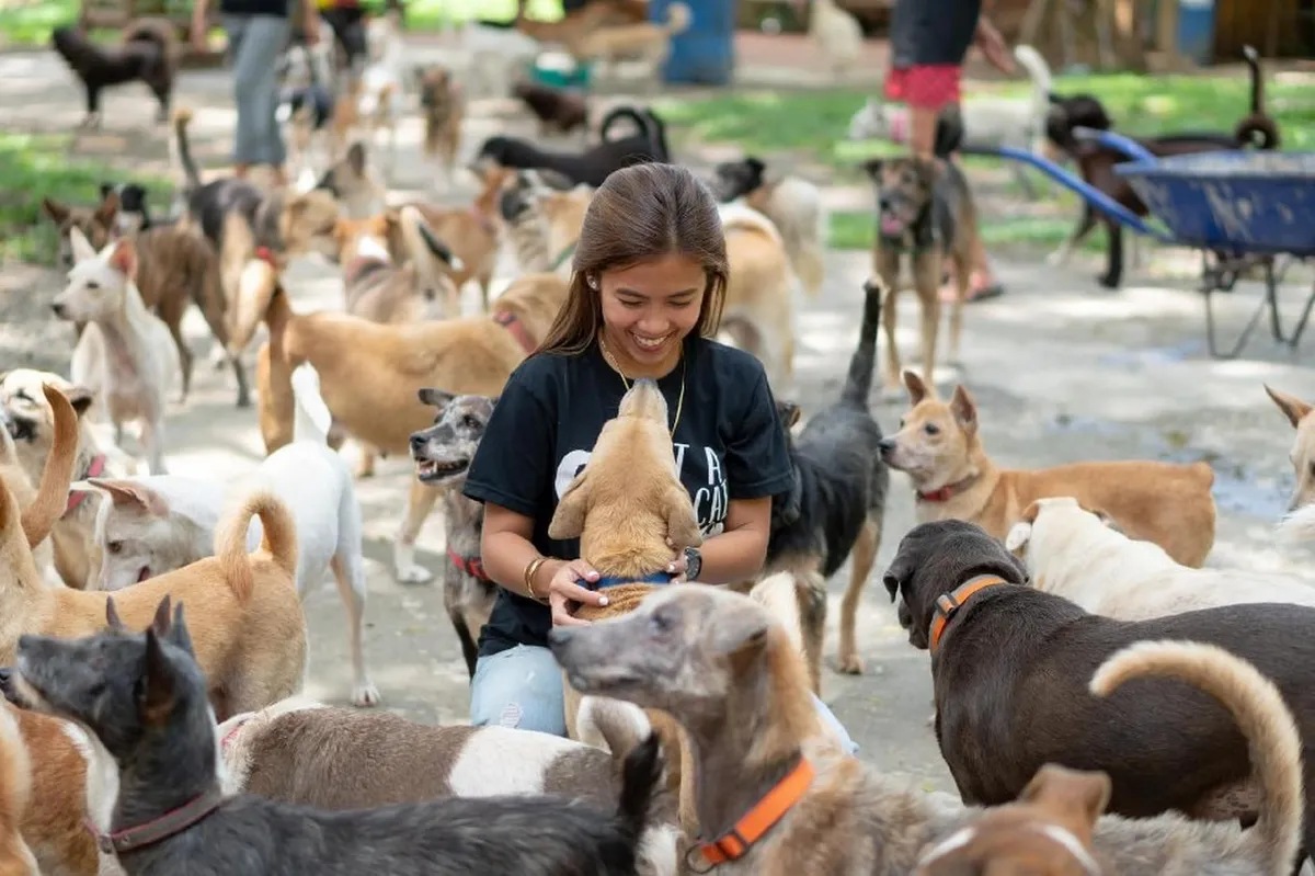 PAWSsion Project celebrates 4th anniversary with fund drives, services ...