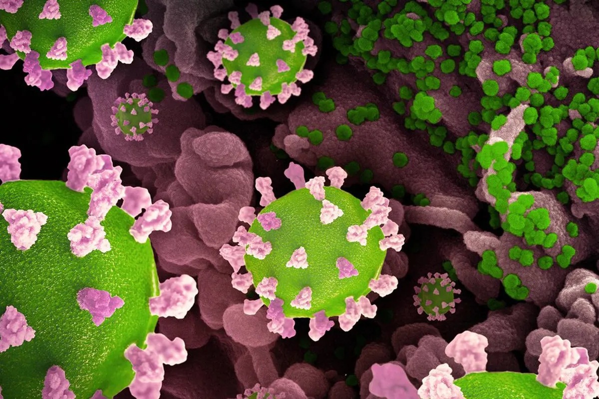 Masks, boosters key in fighting new COVID XBB variant: expert | ABS-CBN ...