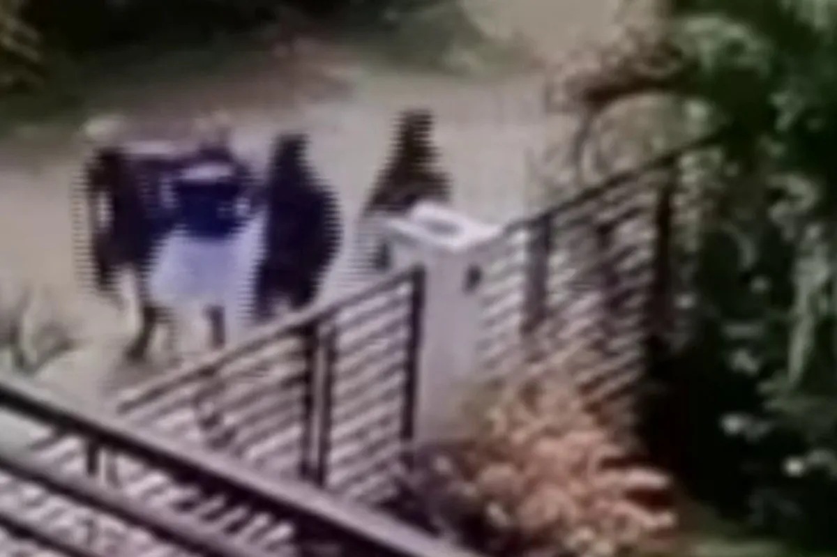 5 pulis na dinadawit sa pagdukot sa e-sabong executive sinibak | ABS-CBN News