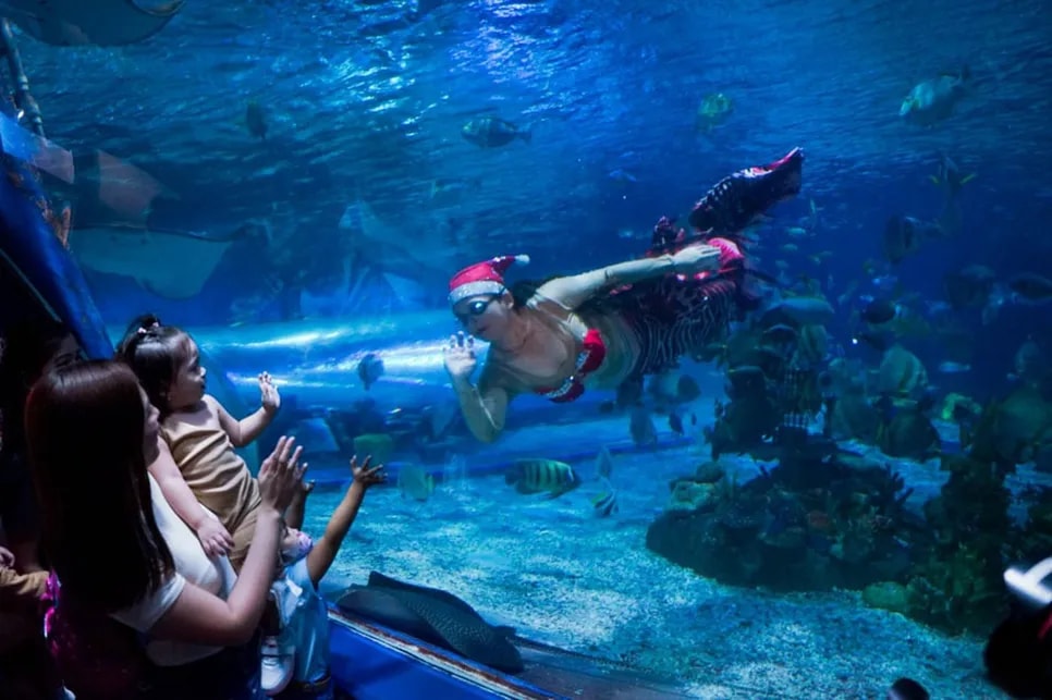 Mermaid Santa at Manila Ocean Park | ABS-CBN Lifestyle