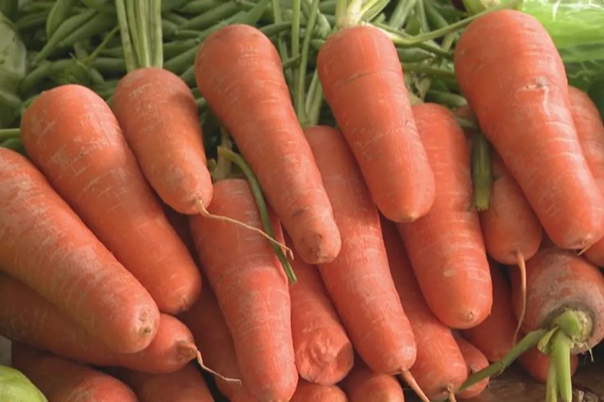 Presyo ng carrots, sayote bumaba sa ilang pamilihan sa Metro Manila ...