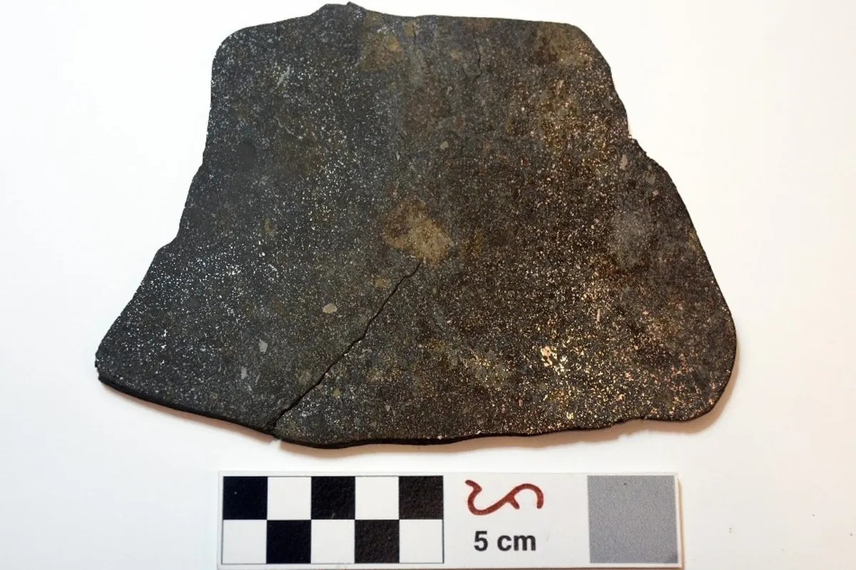 Rare meteorite donated to National Museum of Natural History | ABS-CBN ...