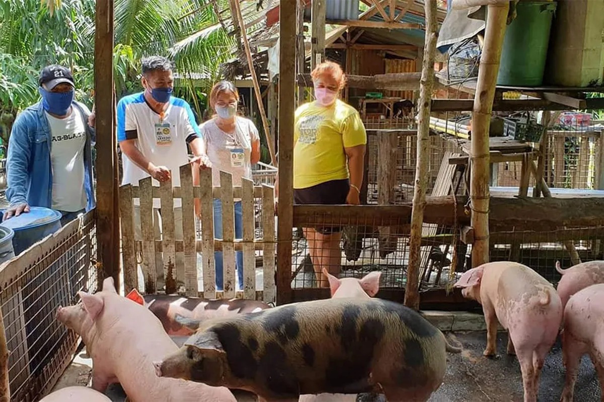 9 barangays in Zamboanga barred from supplying pork over ASF fears ...