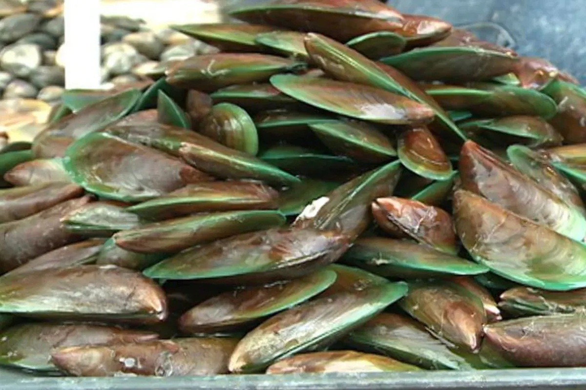 BFAR raises 'red tide' alert in 5 areas | ABS-CBN News