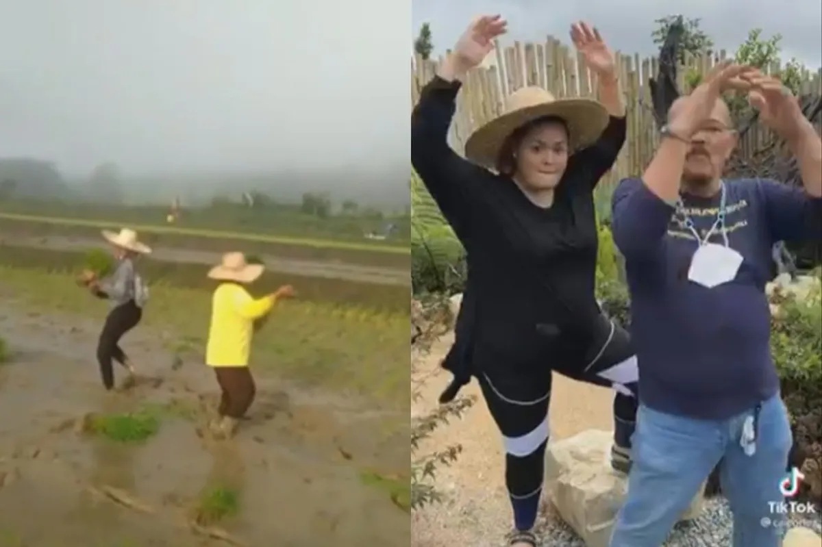 Kwento ni Marc Logan: Makukulit na pasayaw, tampok online | ABS-CBN ...