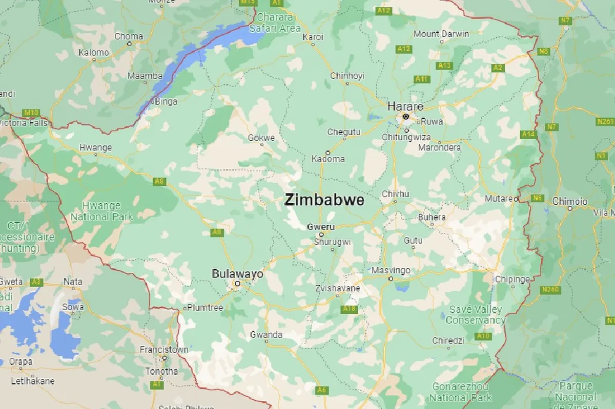 Zimbabwe banks on cows as inflation soars | ABS-CBN News