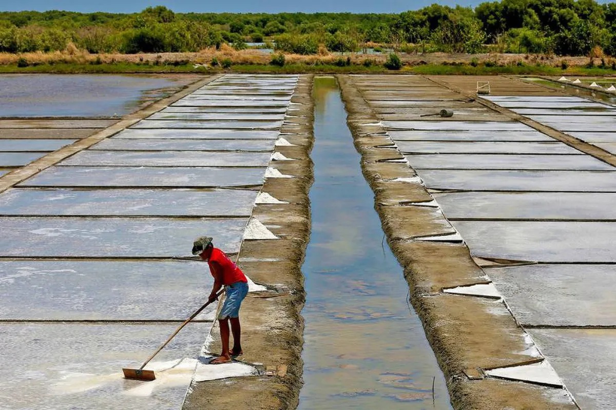 PH's Salt Law should be amended - agri group | ABS-CBN News