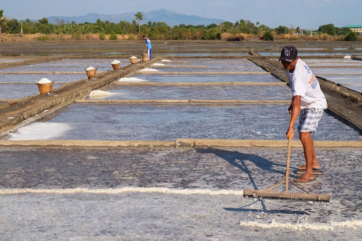 Lawmaker says gov't should develop, lease salt farms | ABS-CBN News