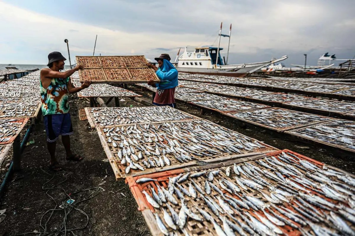 Collecting dried fish in Barangay Kanluran | ABS-CBN News